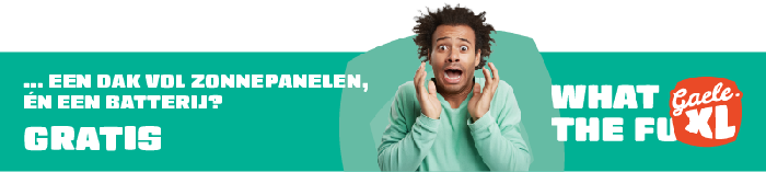 Gaele XL :: yolk energy